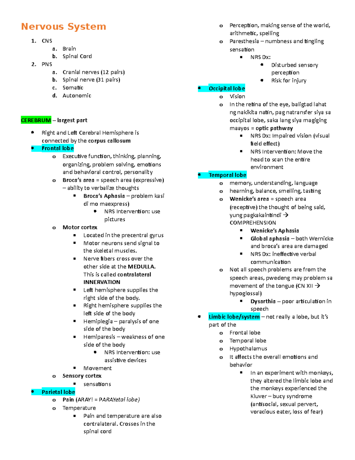 Nervous System Review – Key Points for PNLE Exam Preparation - Studocu
