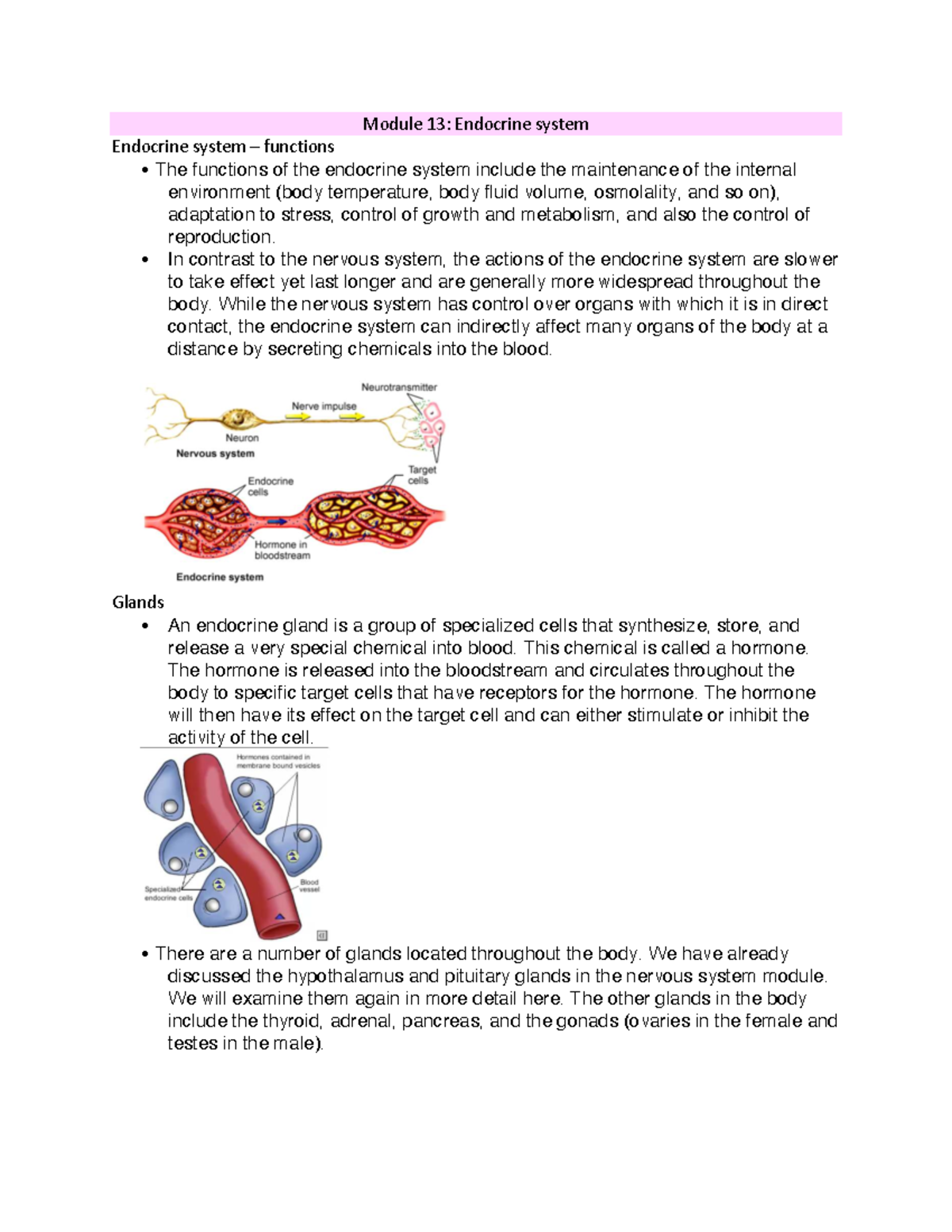 Module 13: Endocrine System Functions and Hormonal Regulation Summary ...