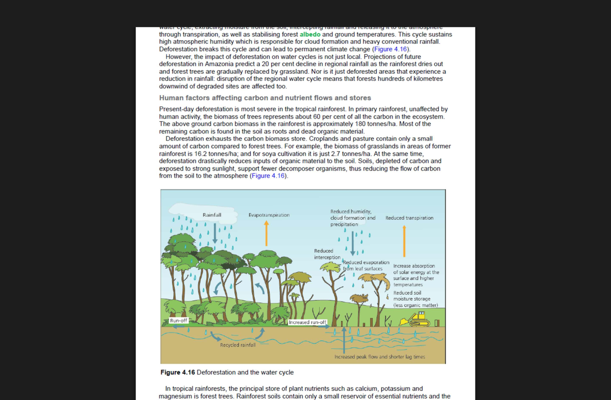 Amazon Rainforest Deforestation: Impact on Water Cycle and Climate ...