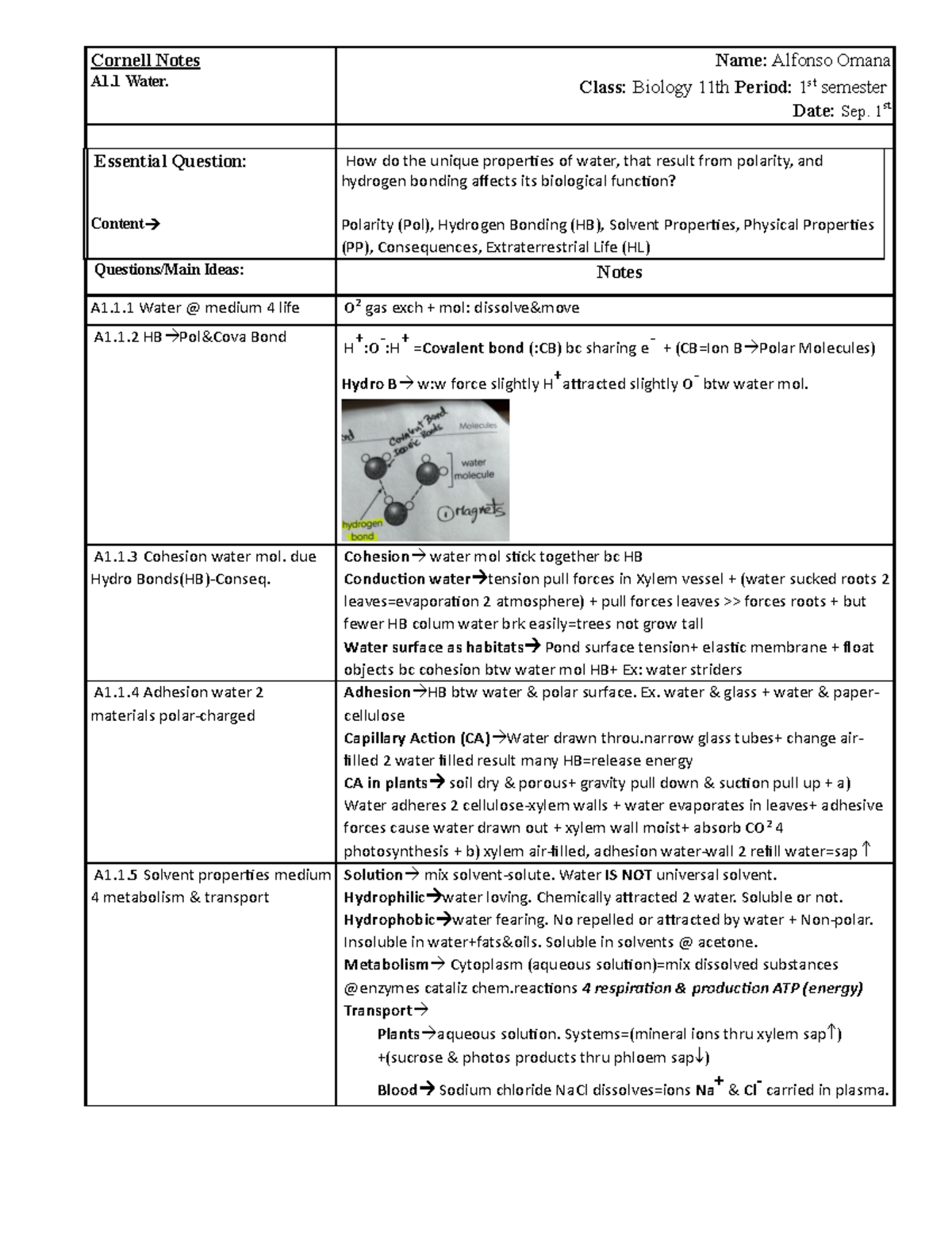 1. Cornell Notes A1.1 Water - Cornell Notes A1 Water. Name: Alfonso ...