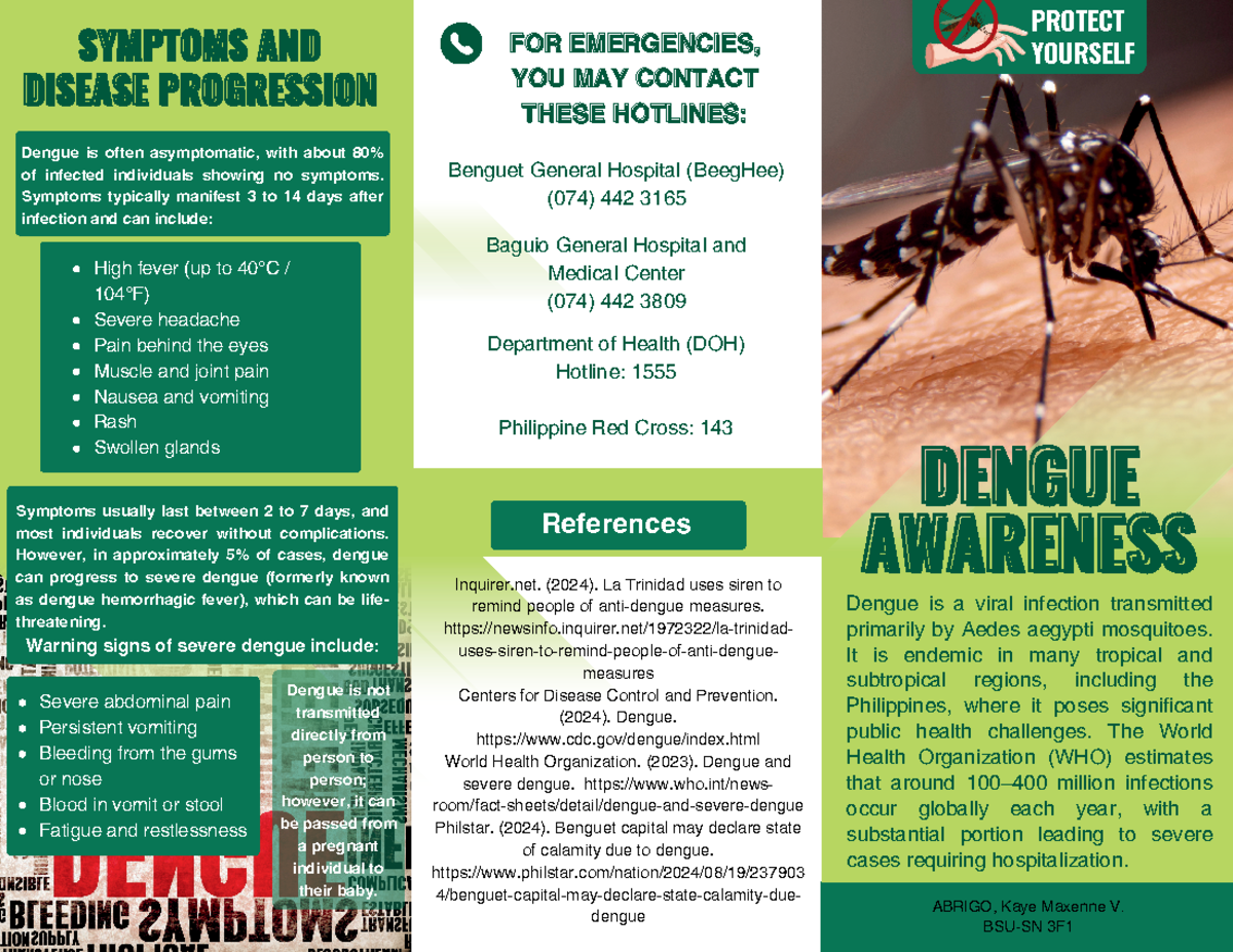 Dengue Awareness Pamphlet: Protect Yourself from Infection - Studocu