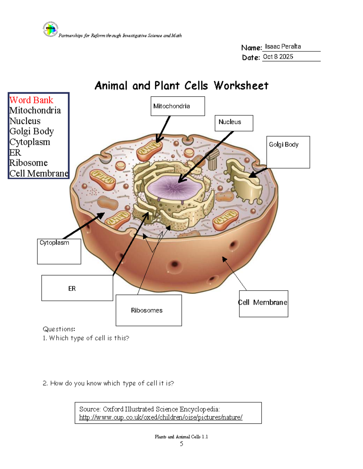 Plant and Animal Cell Diagram Worksheet - Isaac Peralta 10.8.25 - Studocu