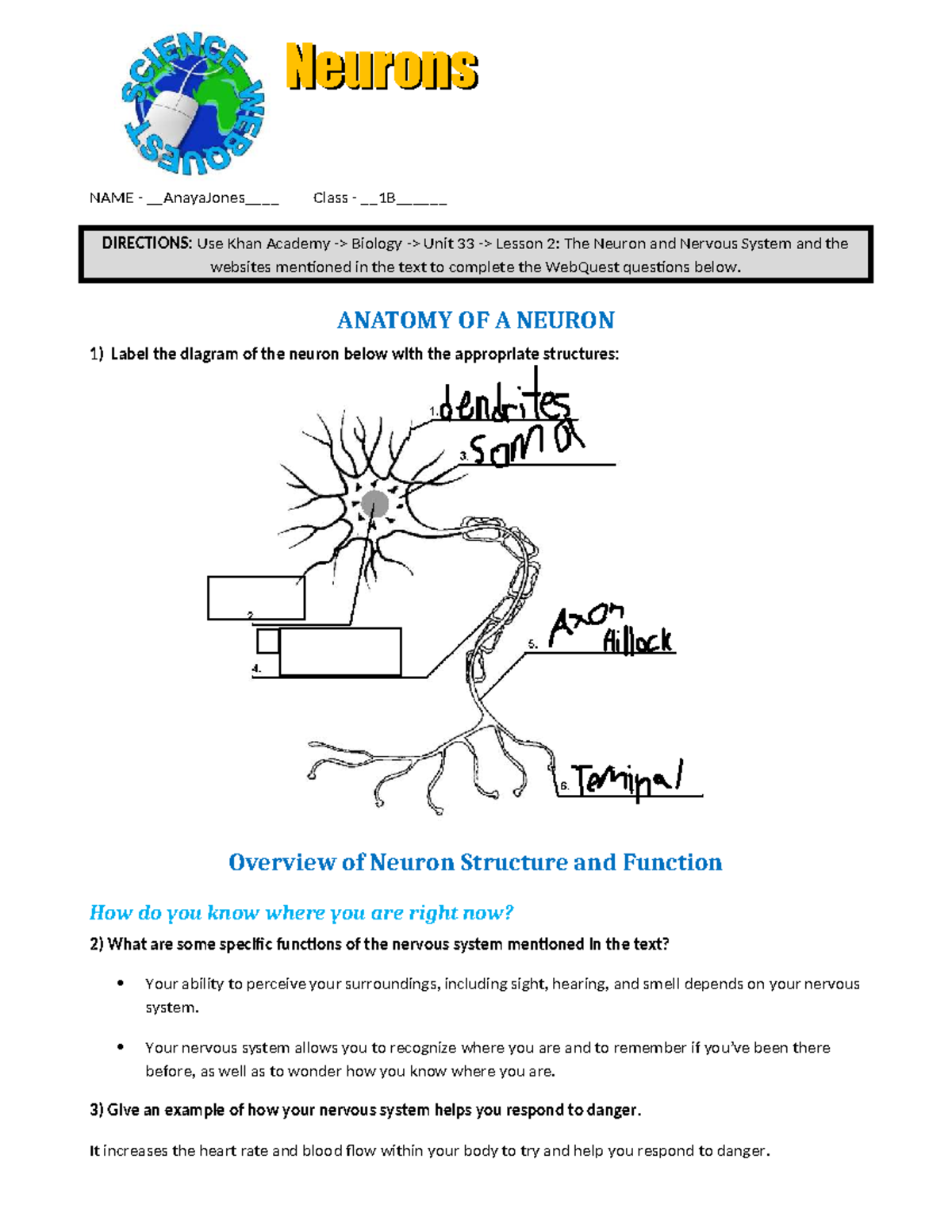Neurons WebQuest: Exploring the Nervous System (BIO 101) - Studocu