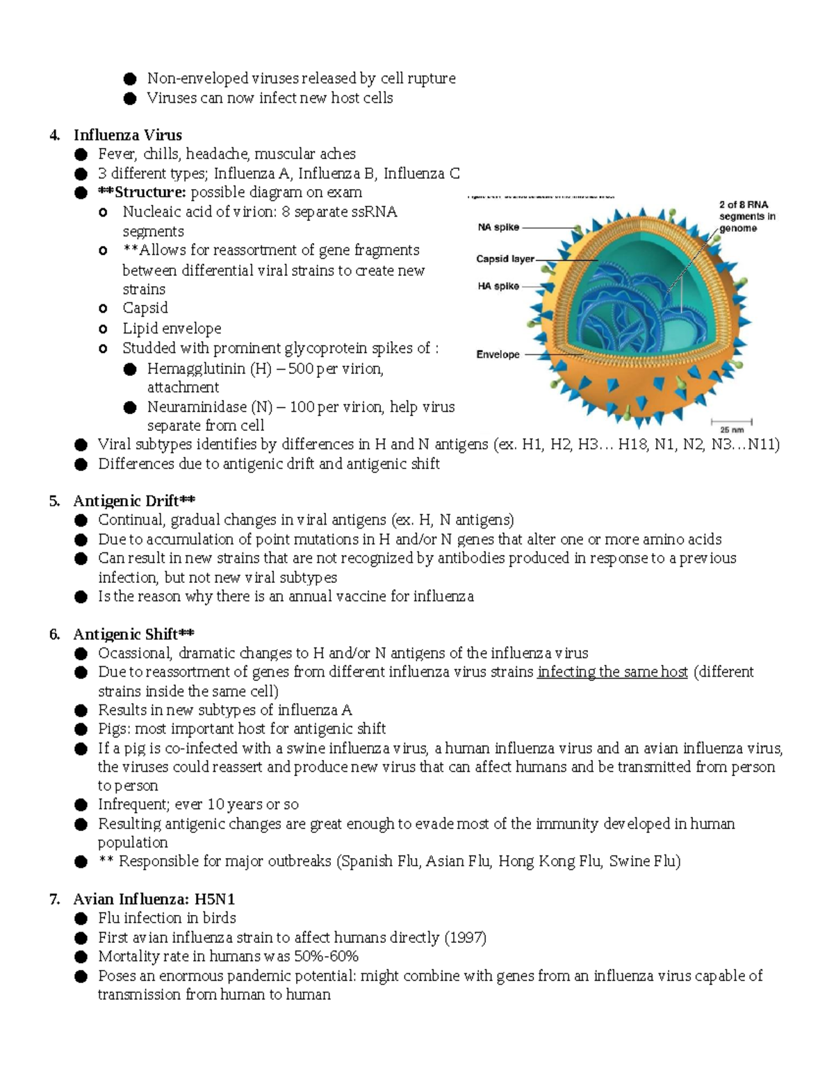 Biology 3053 Notes-3 - notes - Non-enveloped viruses released by cell ...