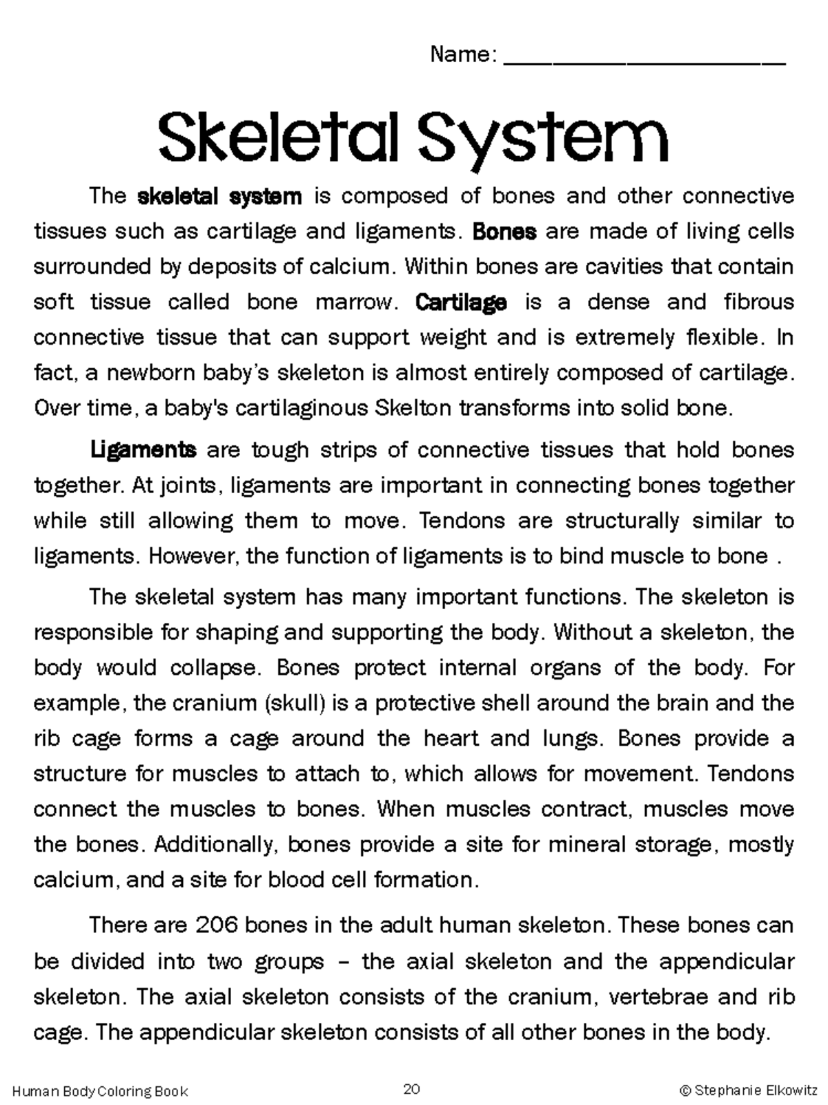 Skeletal System Basics - Skeletal System The skeletal system is ...