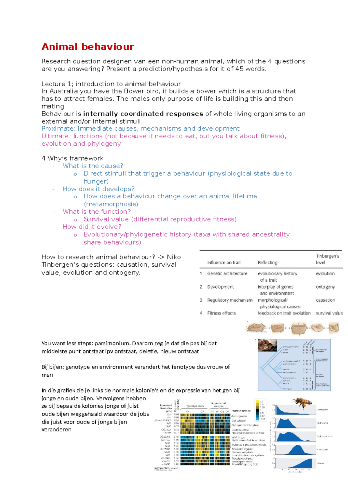 Animal Behaviour Lecture Notes: Key Concepts and Research Methods ...