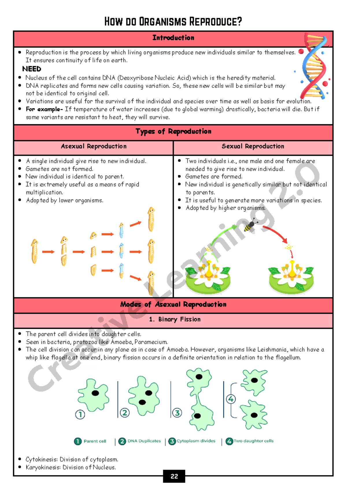 How do organisms reproduce - Introduction Reproduction is the process ...