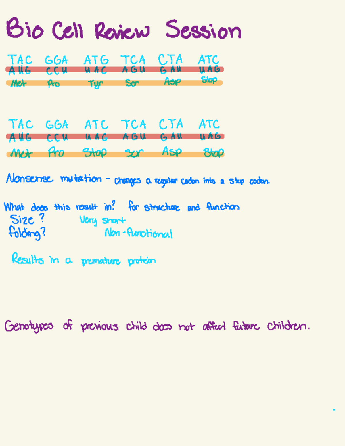 Bio Cell Review Session: Genetic Mutations & Cancer Insights GGA - Studocu