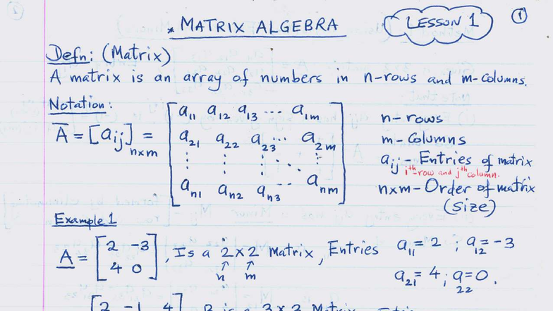 MATRIX ALGEBRA LESSON 1: Introduction to Matrices and Determinants ...