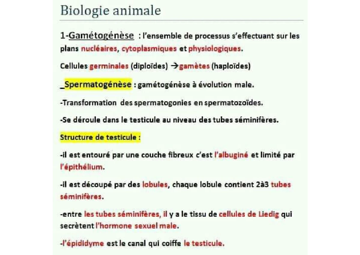 Activités sur la reproduction animale - Biologie 101 - Studocu