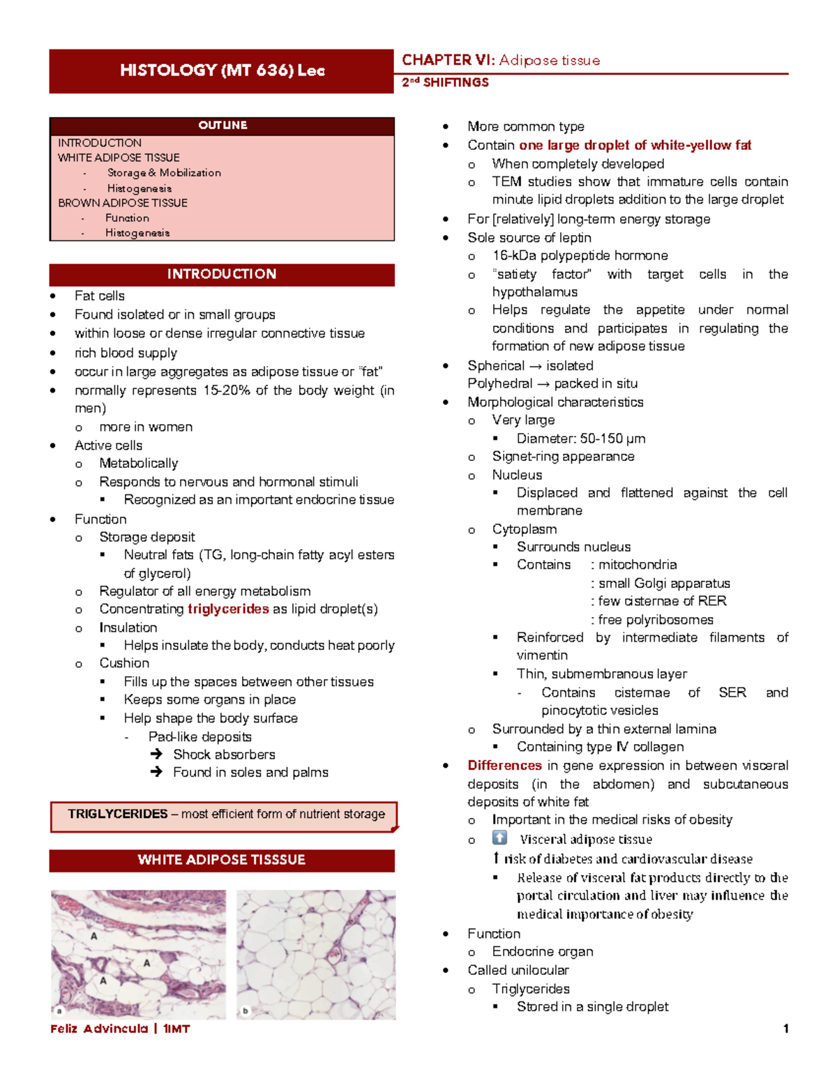 Histology 6 - Adipose - HISTOLOGY (MT 636) Lec CHAPTER VI: Adipose ...