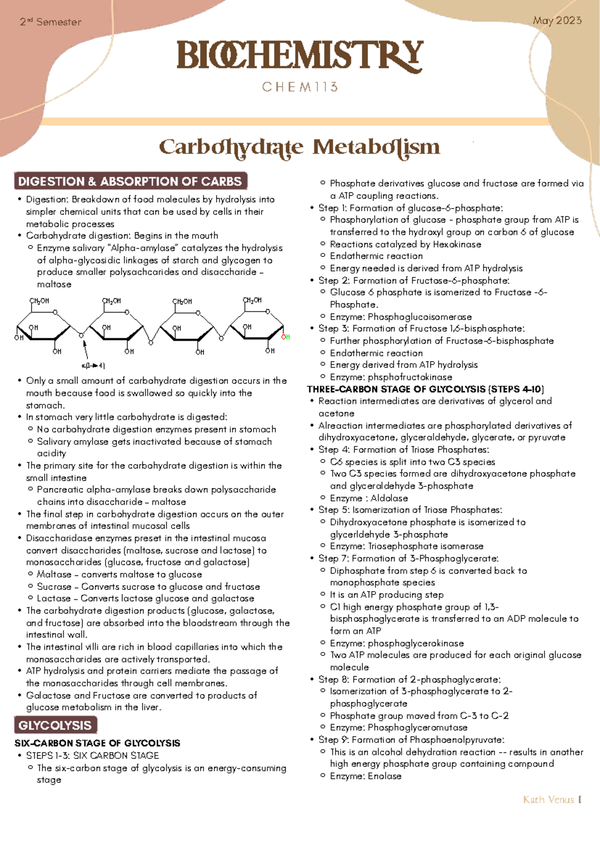 Carbohydrate Metabolism Overview: CHEM113 Final Exam Notes - Studocu