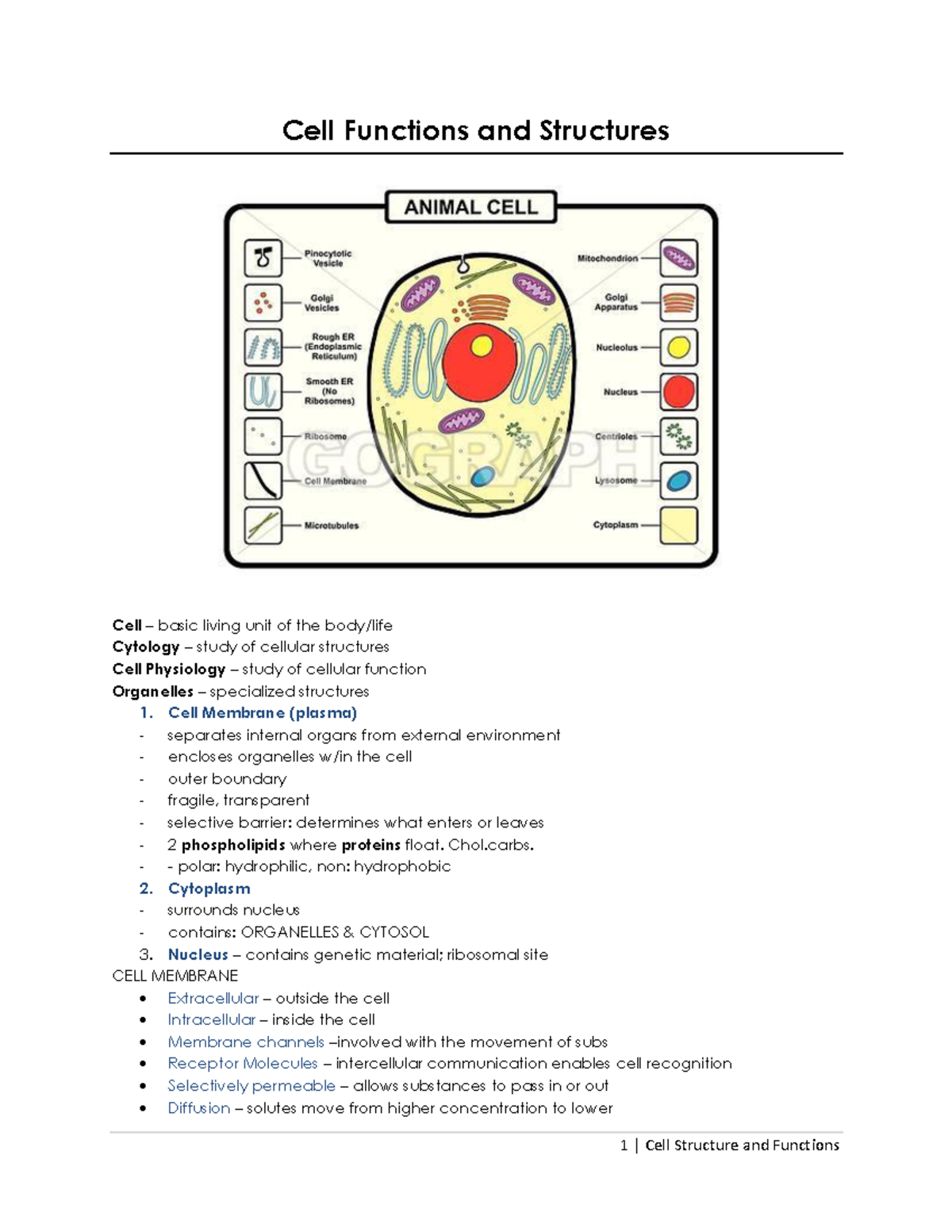 Cell - Anatomy & Physiology Notes: Structure, Functions & Life Cycle ...