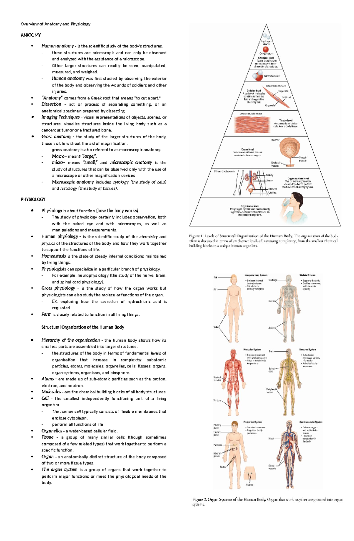 Overview of Anatomy and Physiology - Overview of Anatomy and Physiology ...