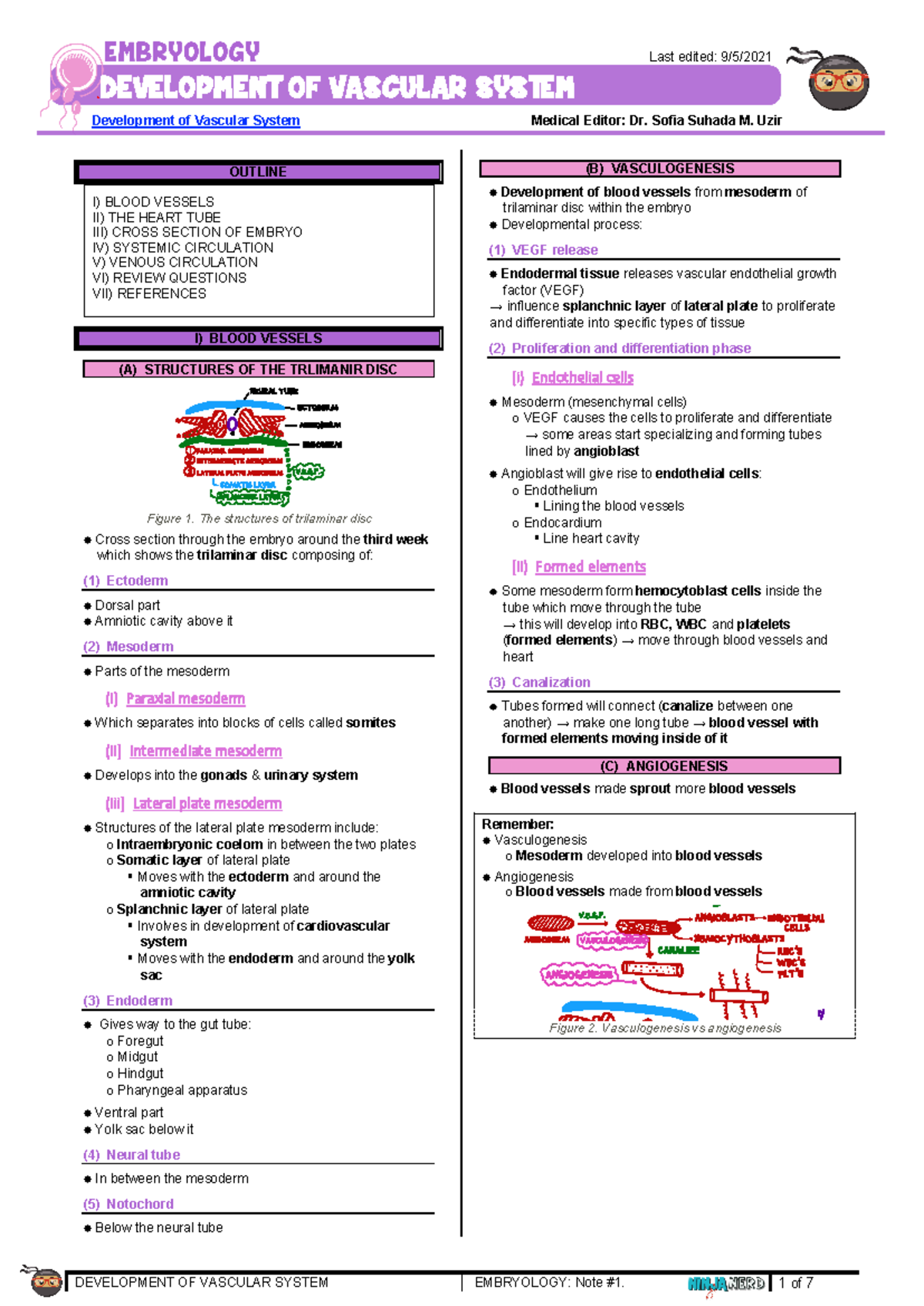 276 - Embryology: Development of the Vascular System Notes - Studocu