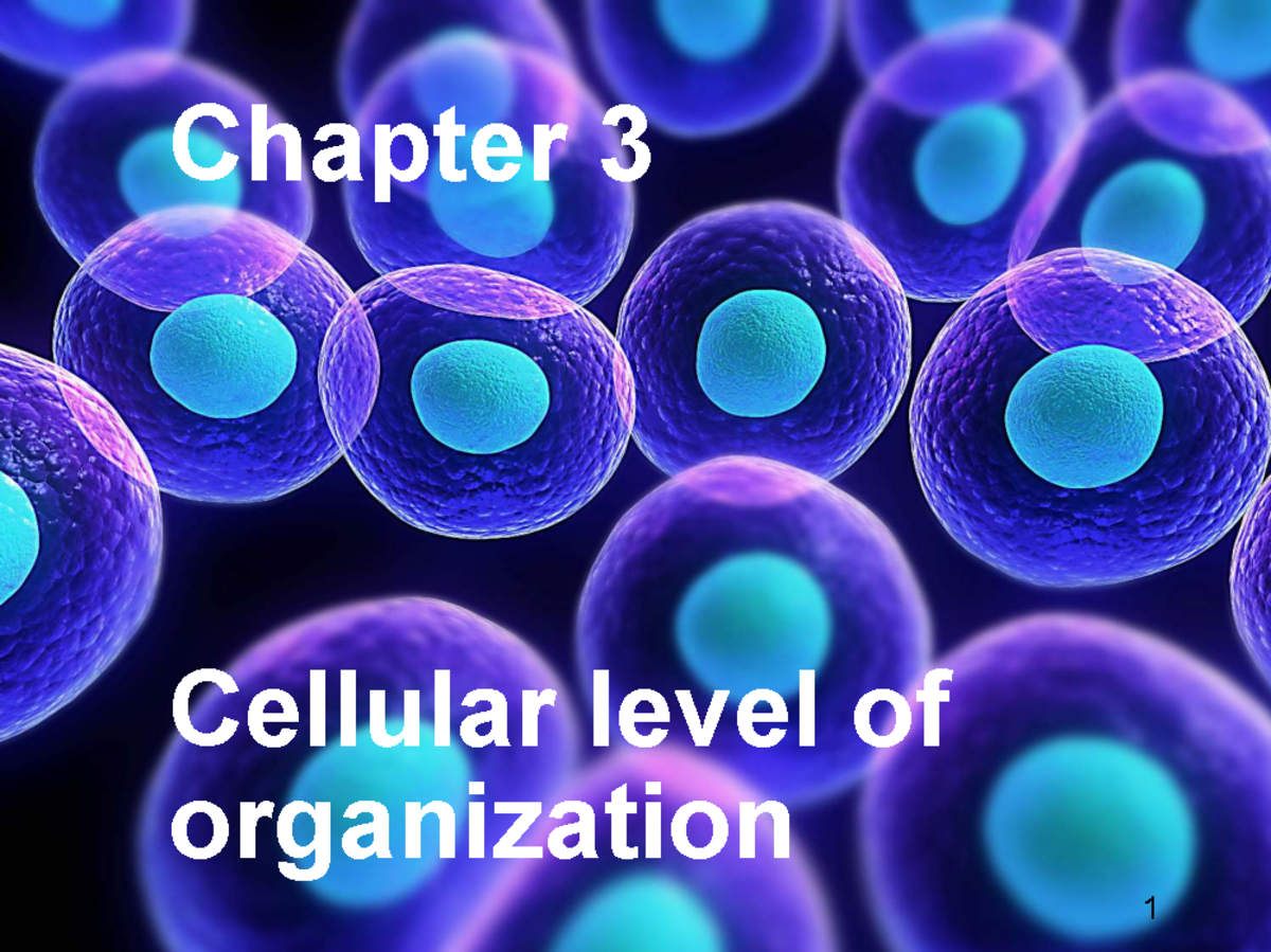 Chapter 3: Cellular Organization and Function (Module 3.1-3.5) - Studocu