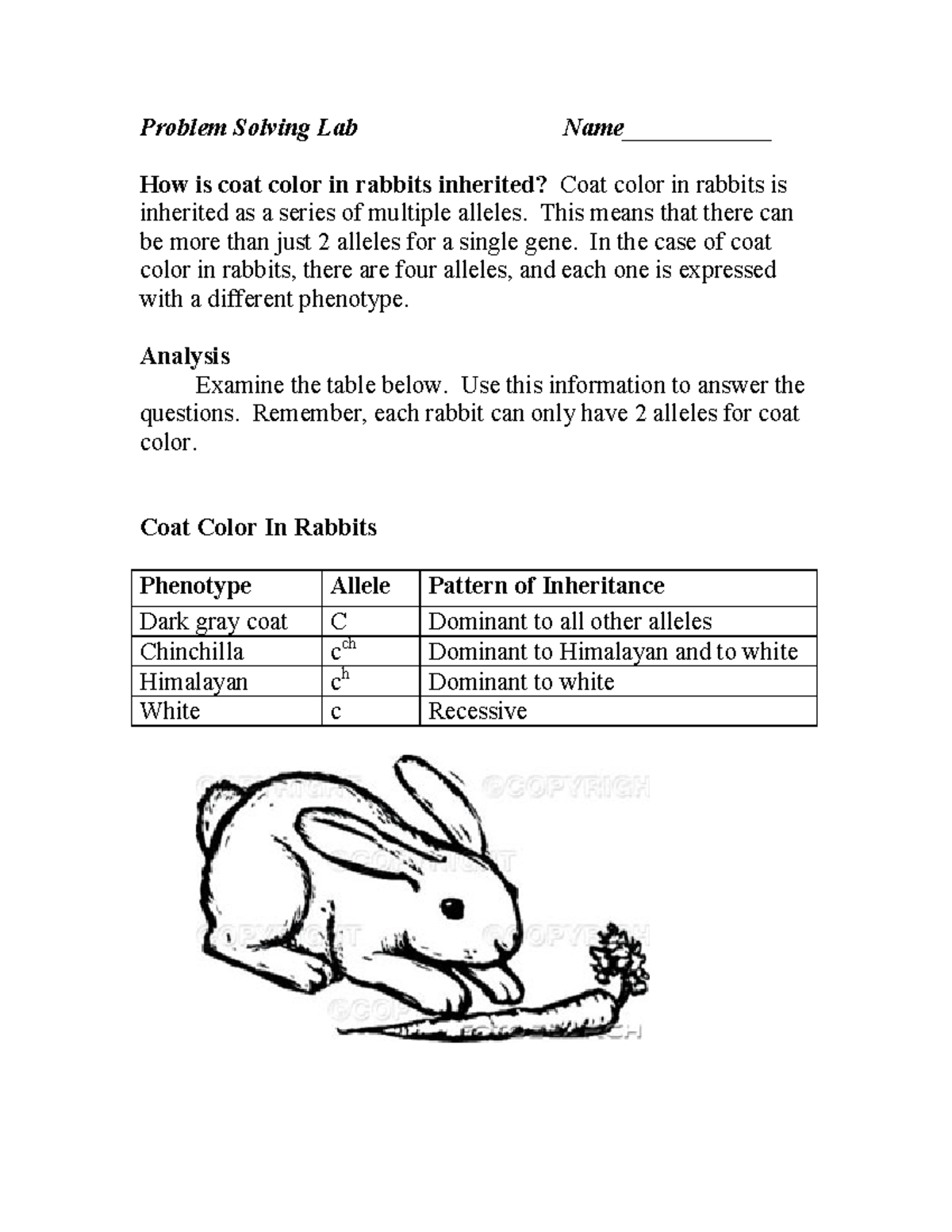 Multiple Alleles in Rabbit Coat Color Inheritance - Questions - Studocu