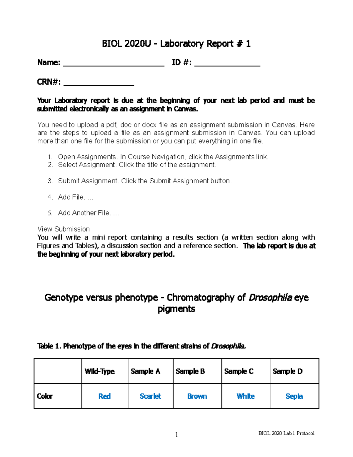 BIOL 2020 U - Lab Report #1: Chromatography of Drosophila Eye Pigments ...