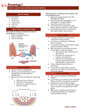 HEMA HW Indirect Platelet Count - HEMA HW 1. ENUMERATE POSSIBLE SOURCES ...