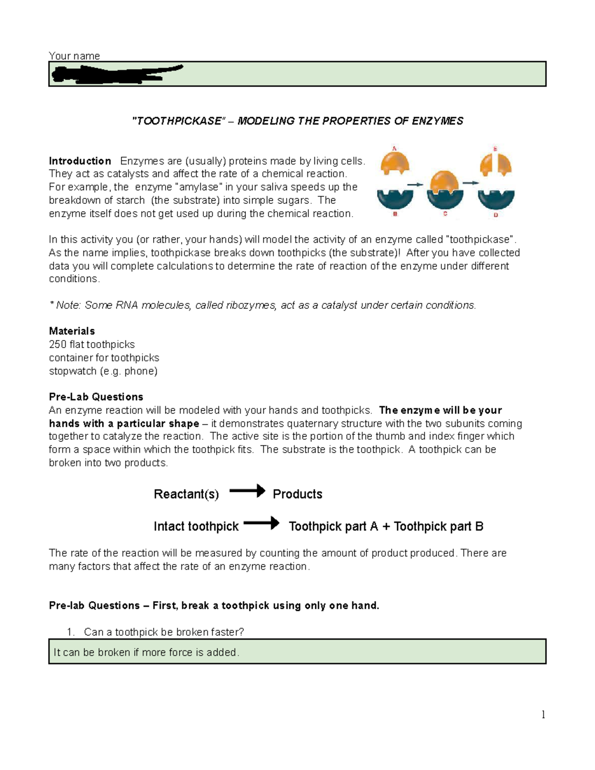 Toothpickase Lab 2024: Modeling Enzyme Activity and Reaction Rates ...