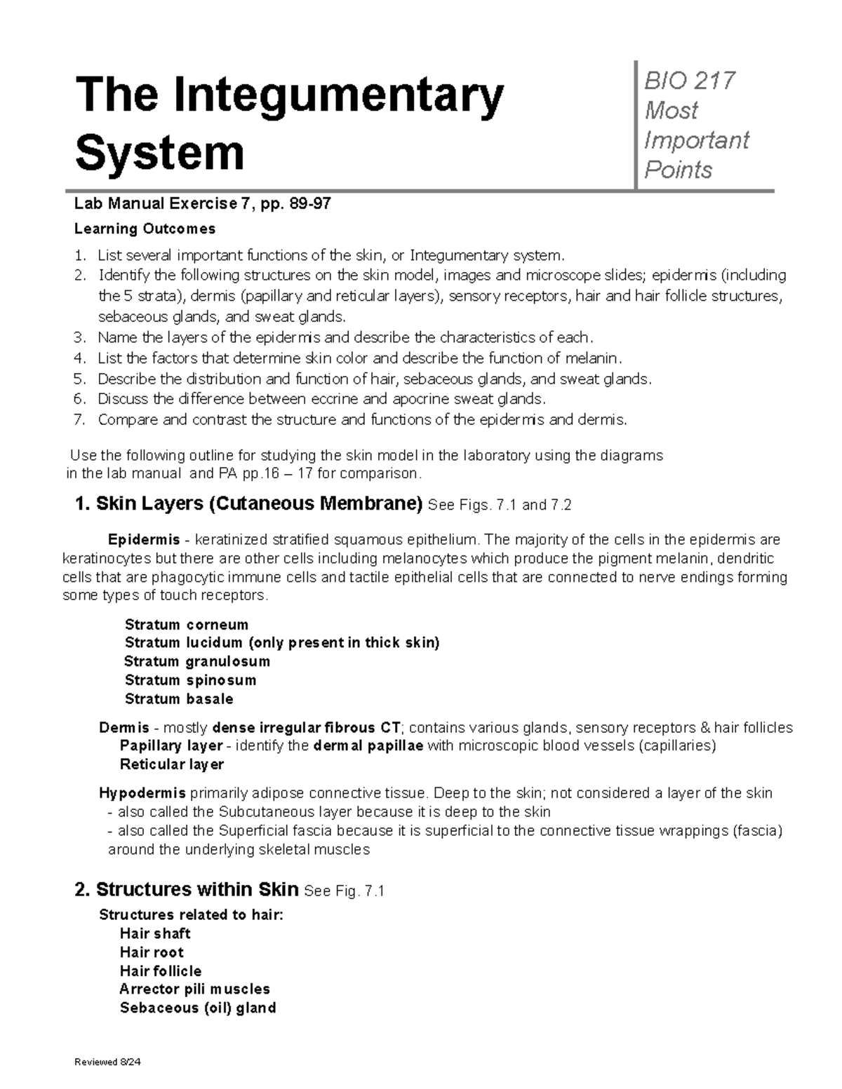 MIP 03 B Integumentary System Lab Manual Key Points and Structures ...