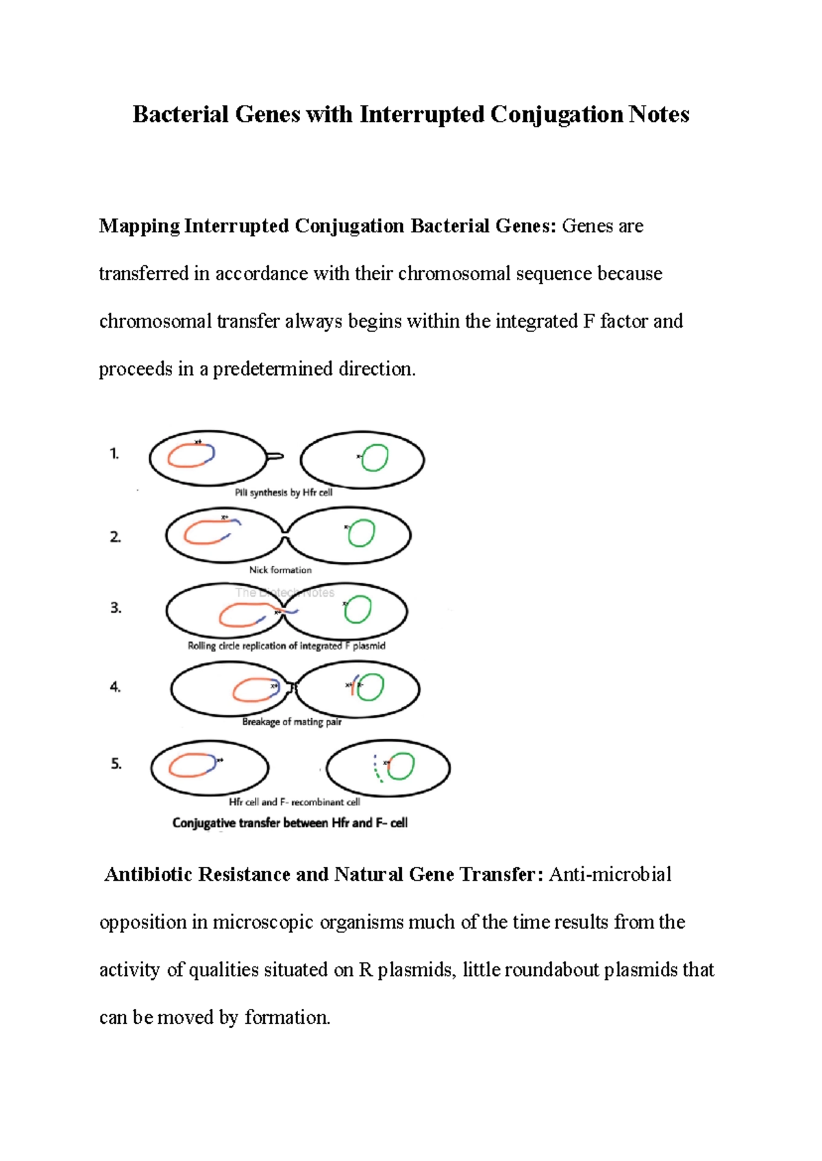 Bacterial Genes with Interrupted Conjugation Notes - Antibiotic ...