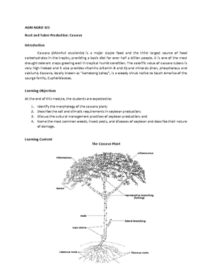 Module - Corn Production - Agri Agro 321 – CORN PRODUCTION ...