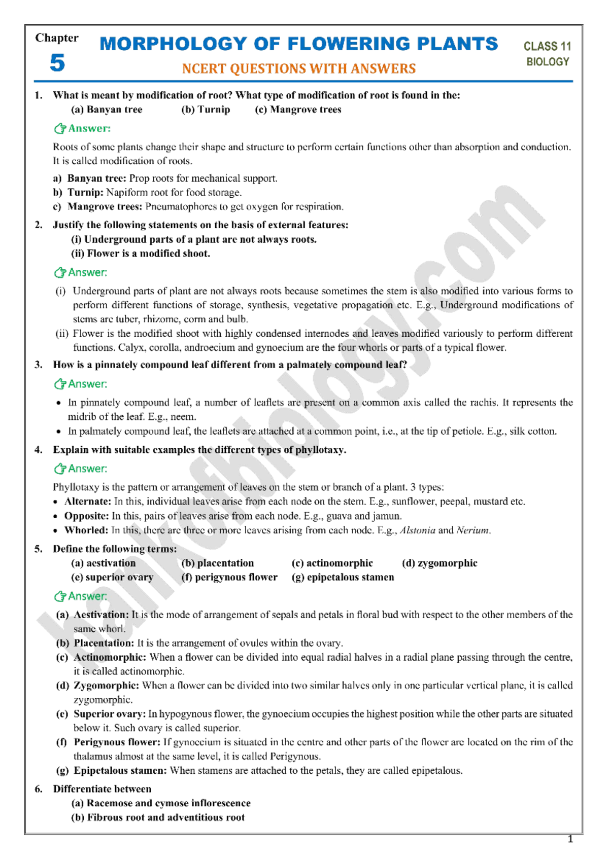 Chapter 5: Morphology of Flowering Plants - NCERT Q&A (BIOLOGY 5) - Studocu