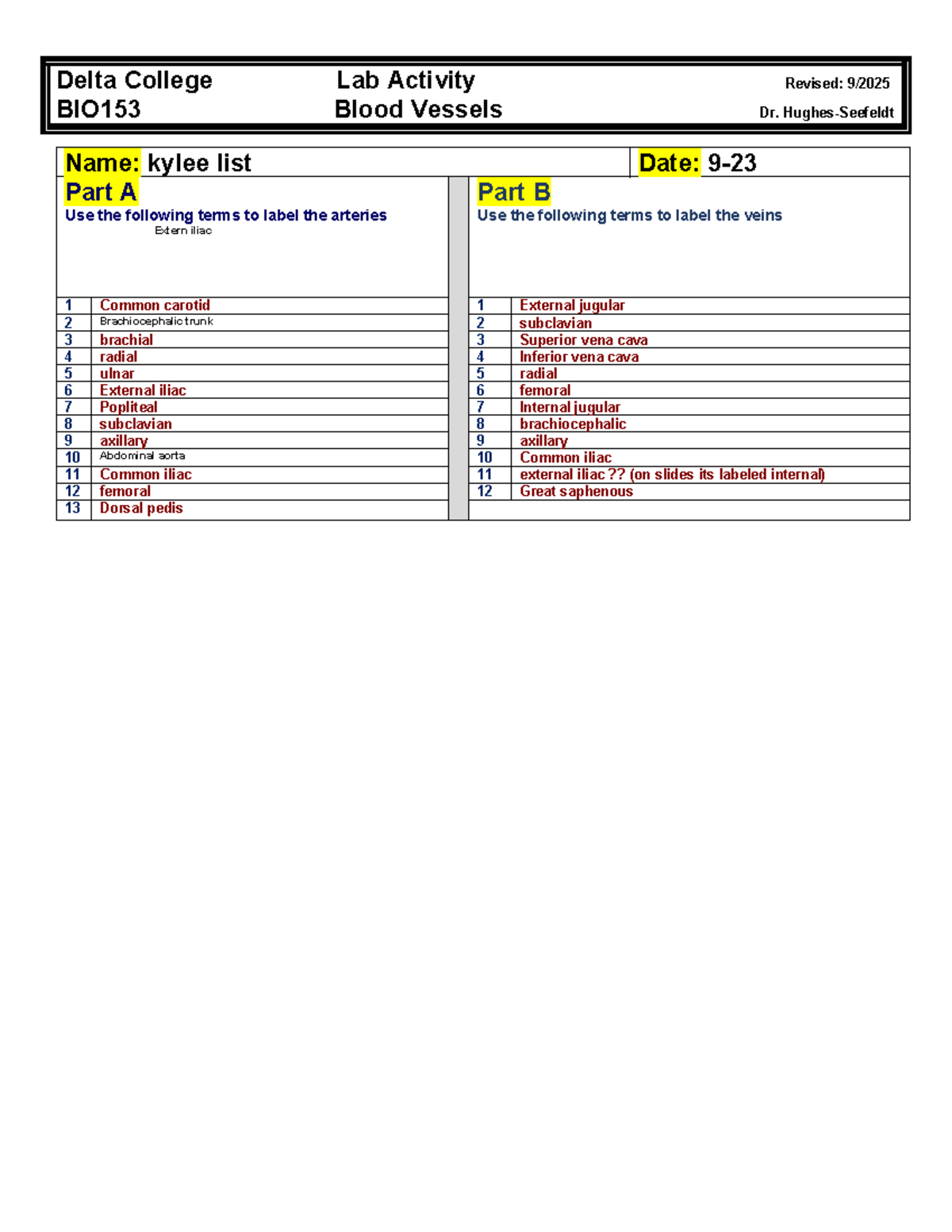 BIO153 Lab Activity: Blood Vessels and Circulation Overview - Studocu