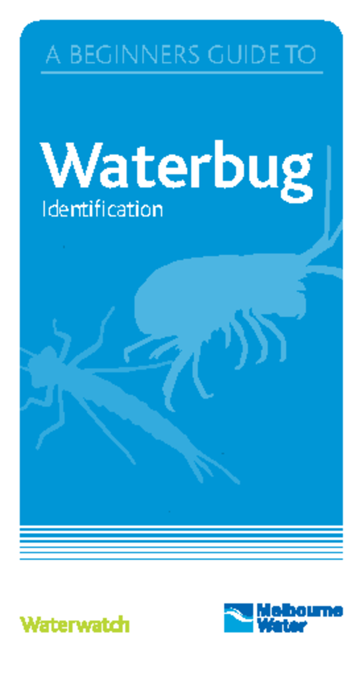 Waterbug Identification Guide: A Beginner's Manual for MELB 101 - Studocu