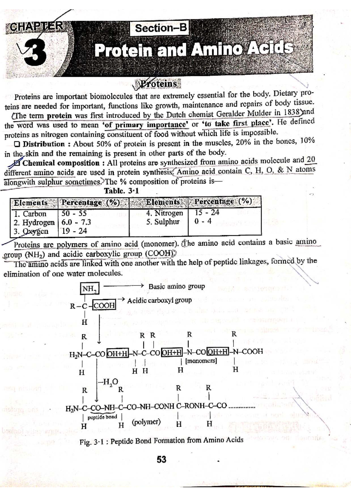 CHAPTER 3: Protein and Amino Acids - Key Concepts and Functions - Studocu