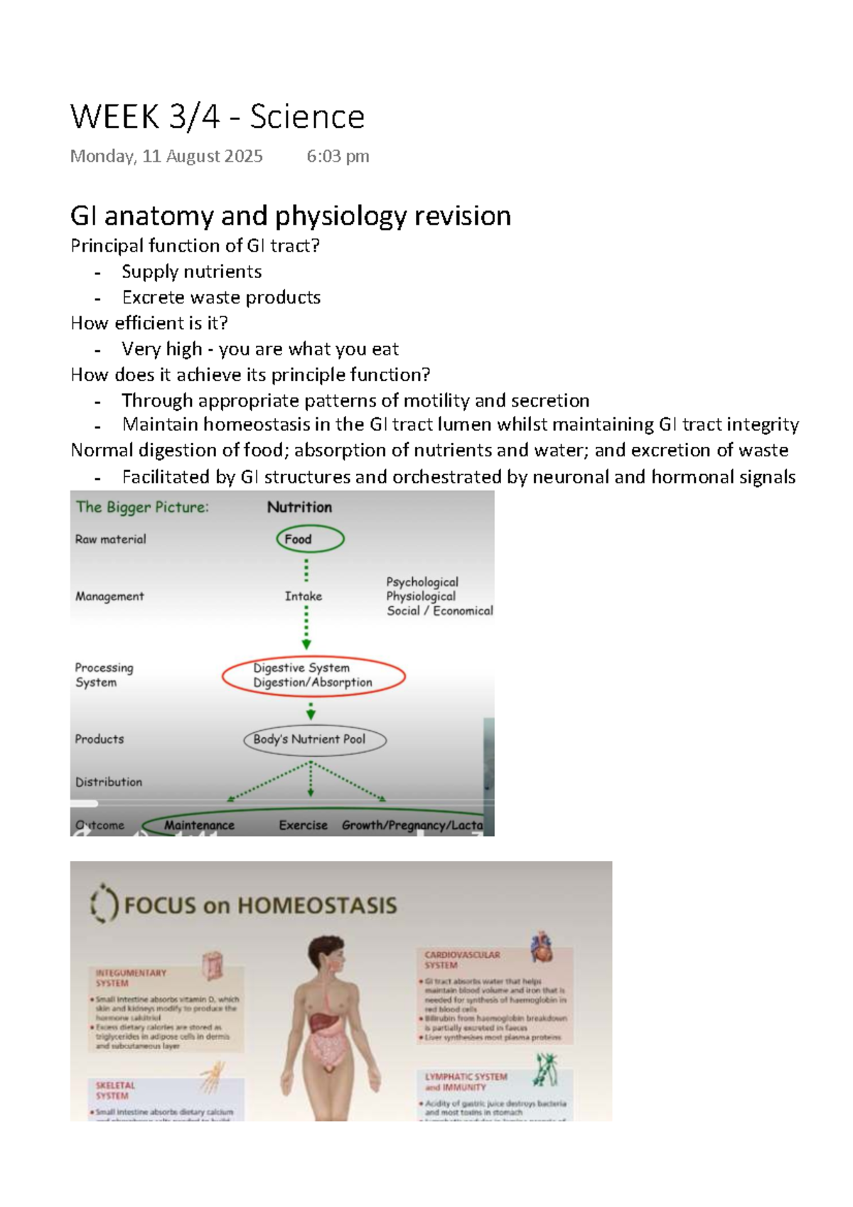 WEEK 34 - Science - GI Anatomy & Physiology Revision Notes - Studocu
