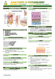 Human Anatomy and Physiology with Pathophysiology - HAPP 111 - OLFU ...