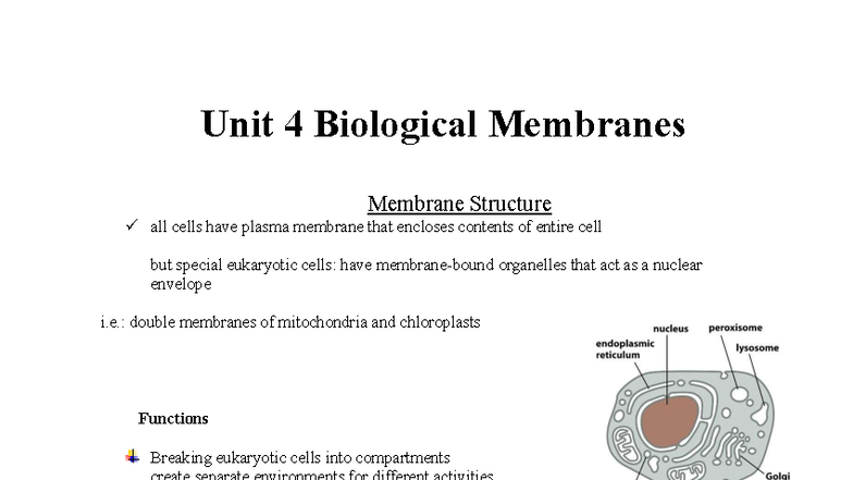 Bio 101 Unit 4 Notes: Biological Membranes & Transport Mechanisms - Studocu