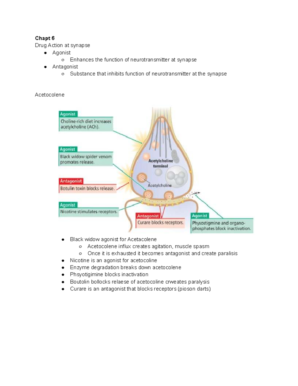 Psy 242 - Chapter 6-10: Neurotransmitters, Drug Action, and Visual ...
