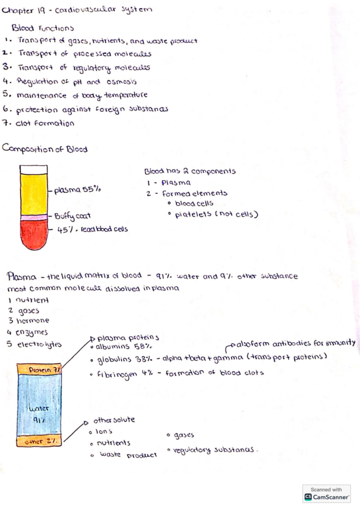 Chapter 19 - Cardiovascular System: Blood Functions and Composition ...