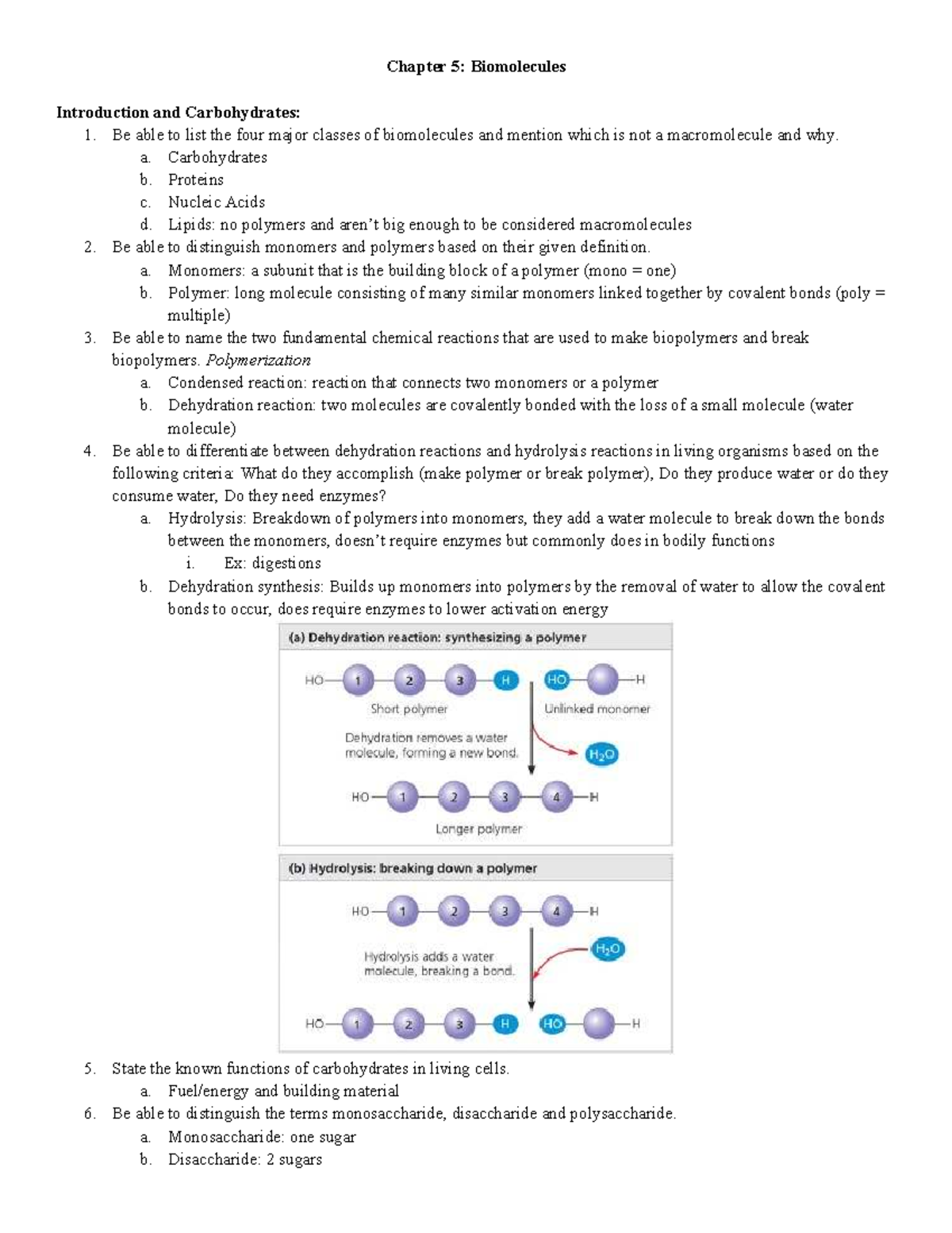 Biomolecules Overview: Structure, Function, and Metabolic Processes ...