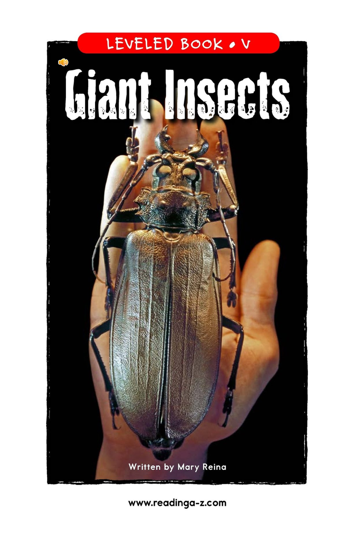 Giant Insects - aaaaaaaaa - LEVELED BOOK V Giant Insects AMOUNT Written ...