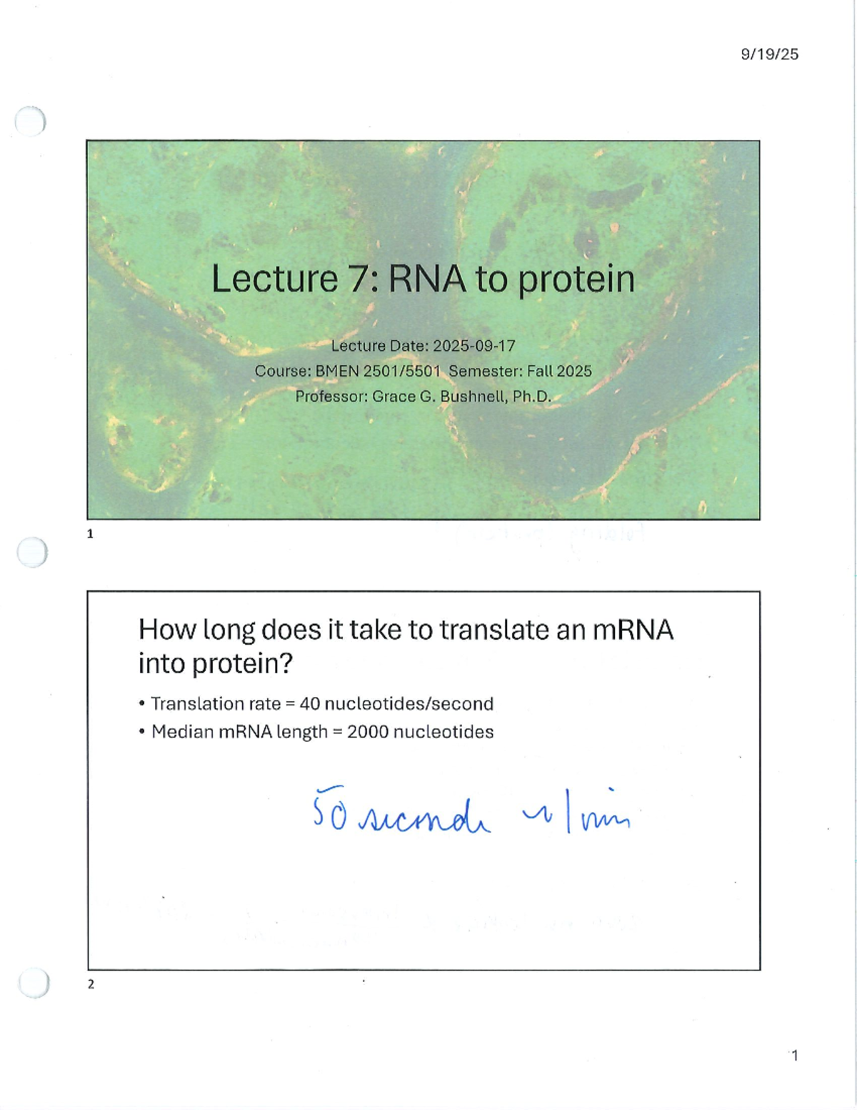 Final Exam Review Notes for Course BMEN 101: RNA to Protein Translation ...