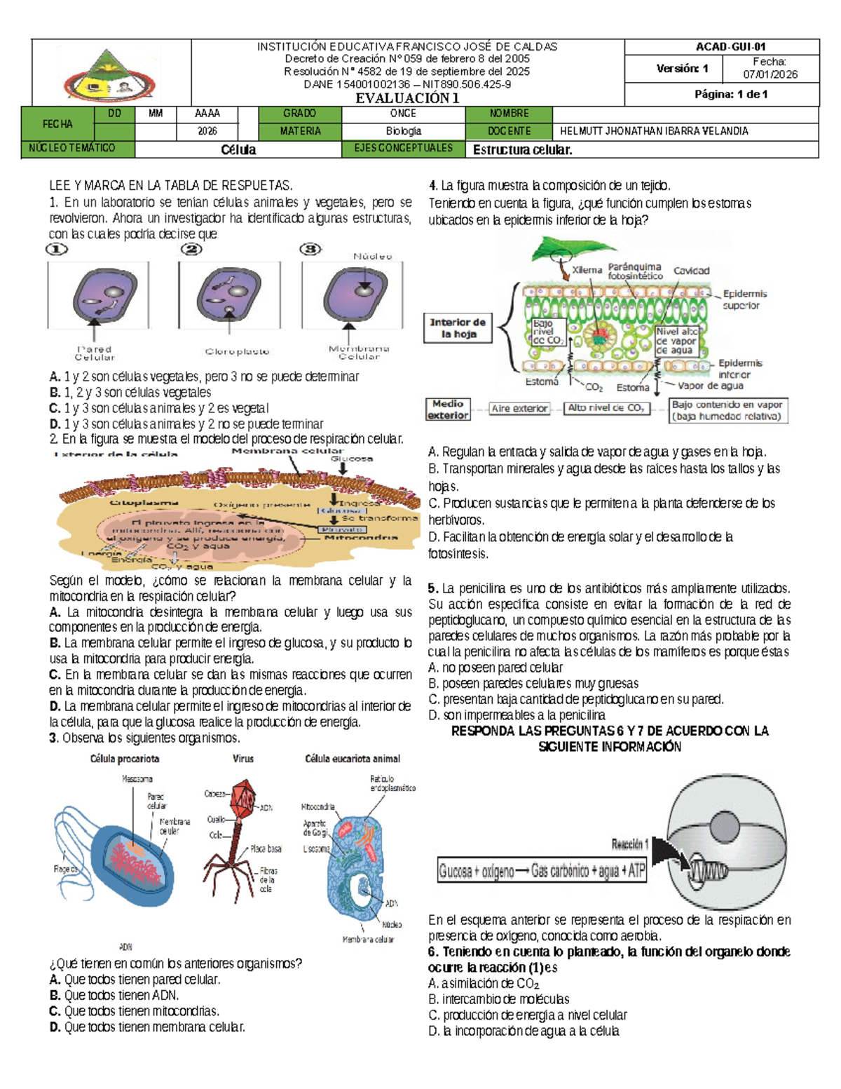 Evaluación de Células - Biología 11 - Institución Educativa FJC - Studocu