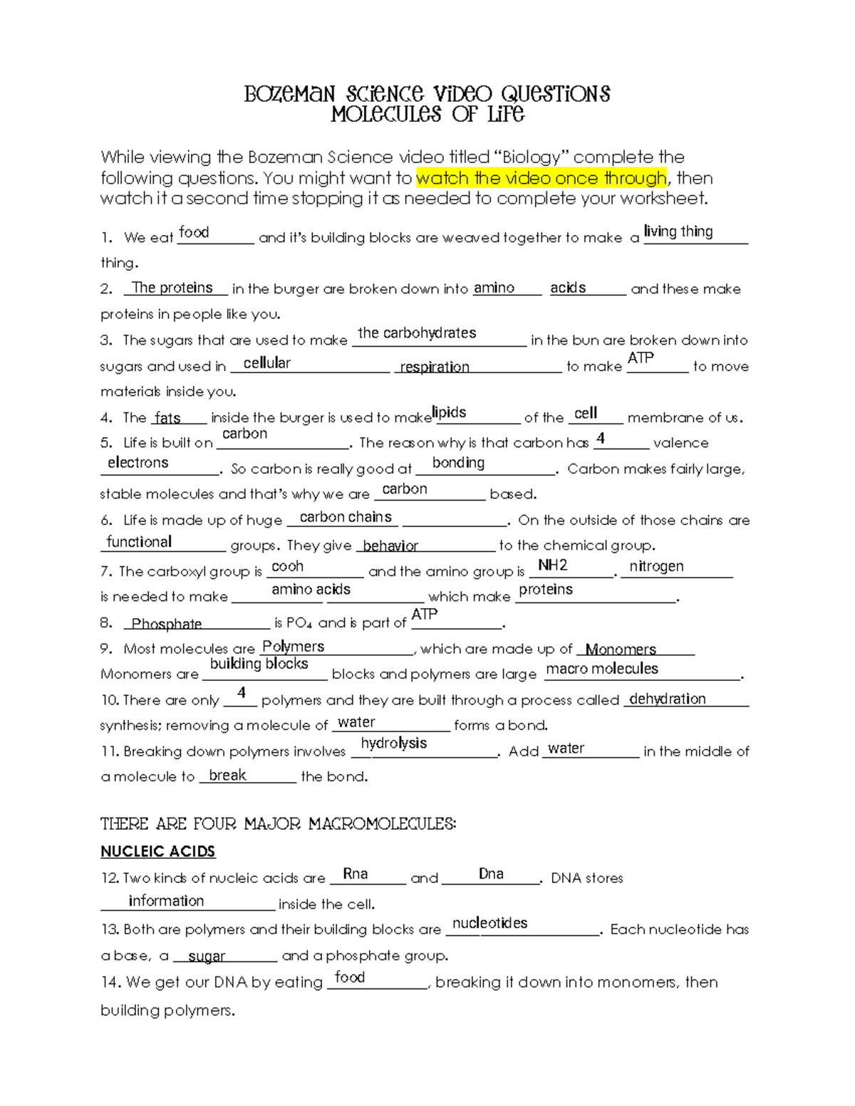 Kami Export - Germani Reed - BSVQ-Molecules of Life - Bozeman science ...