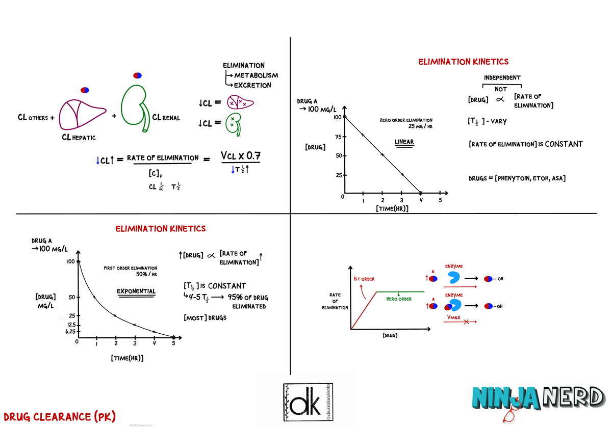 Pharmacokinetics: Drug Clearance and Elimination Kinetics (1) - Studocu