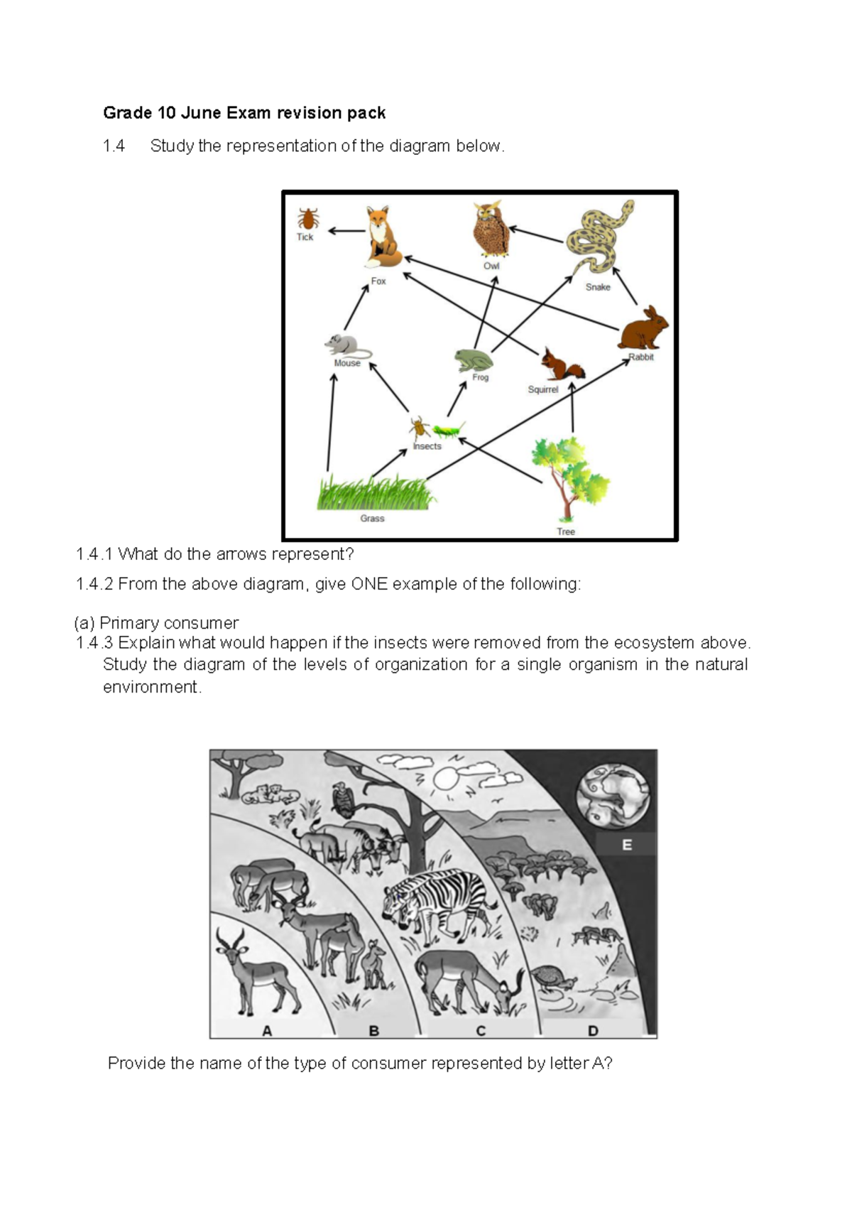 Grade 10 June Exam Revision Pack: Ecosystems & Nutrient Cycles - Studocu