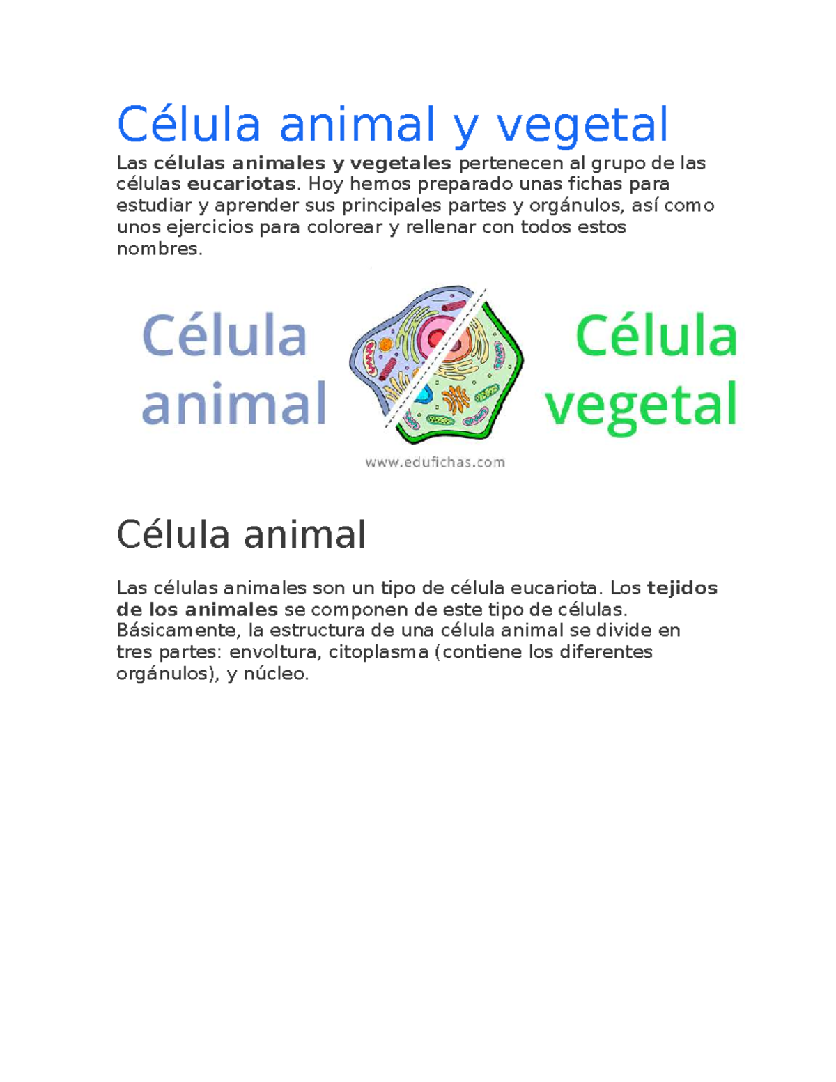 Fichas de Estudio: Células Animales y Vegetales (Biología) - Studocu