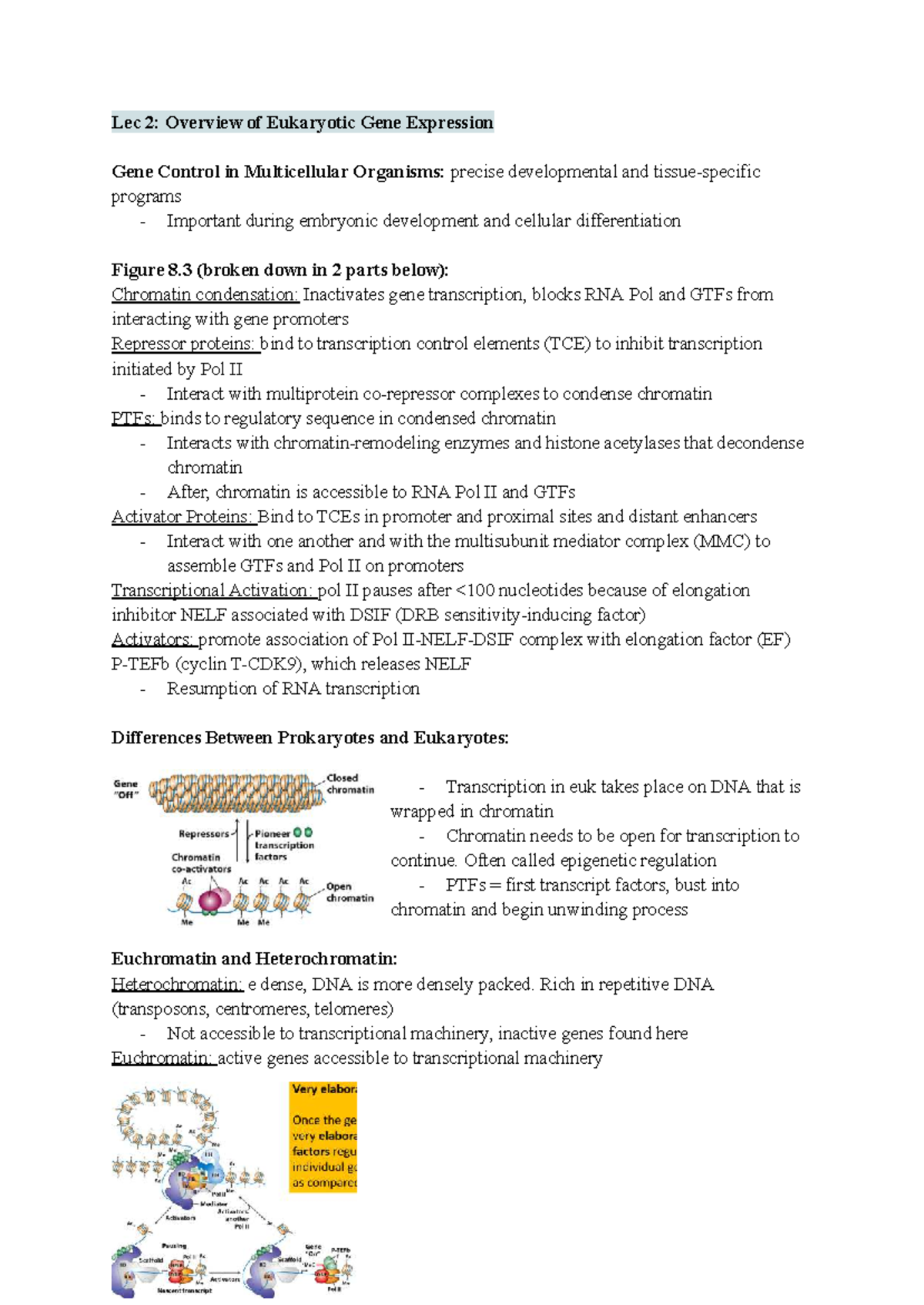 MCB 2050 Lecture Notes: Eukaryotic Gene Expression Overview (Lectures 2 ...