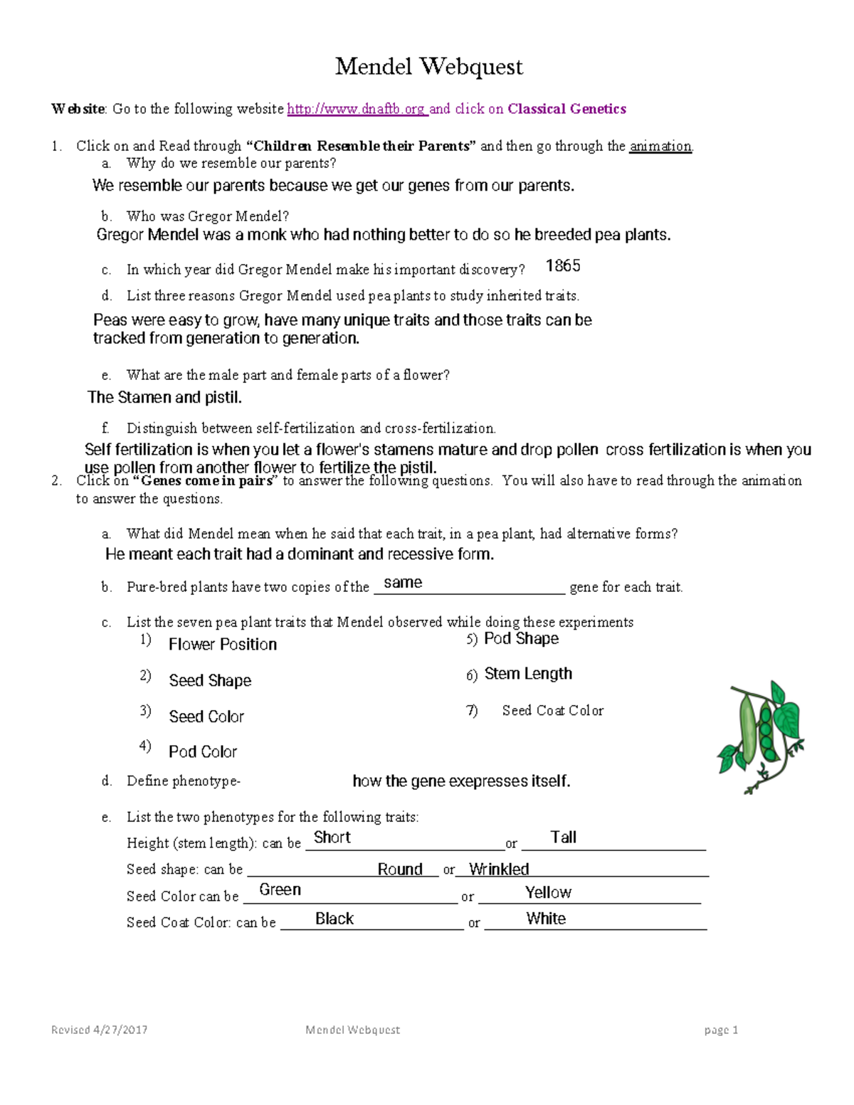 Mendel Webquest - Classical Genetics Biology Study Guide - Studocu