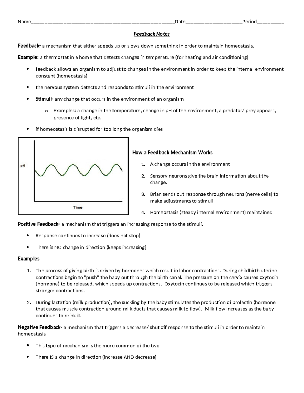 Negative and Positive Feedback Mechanisms in Homeostasis - Insights ...