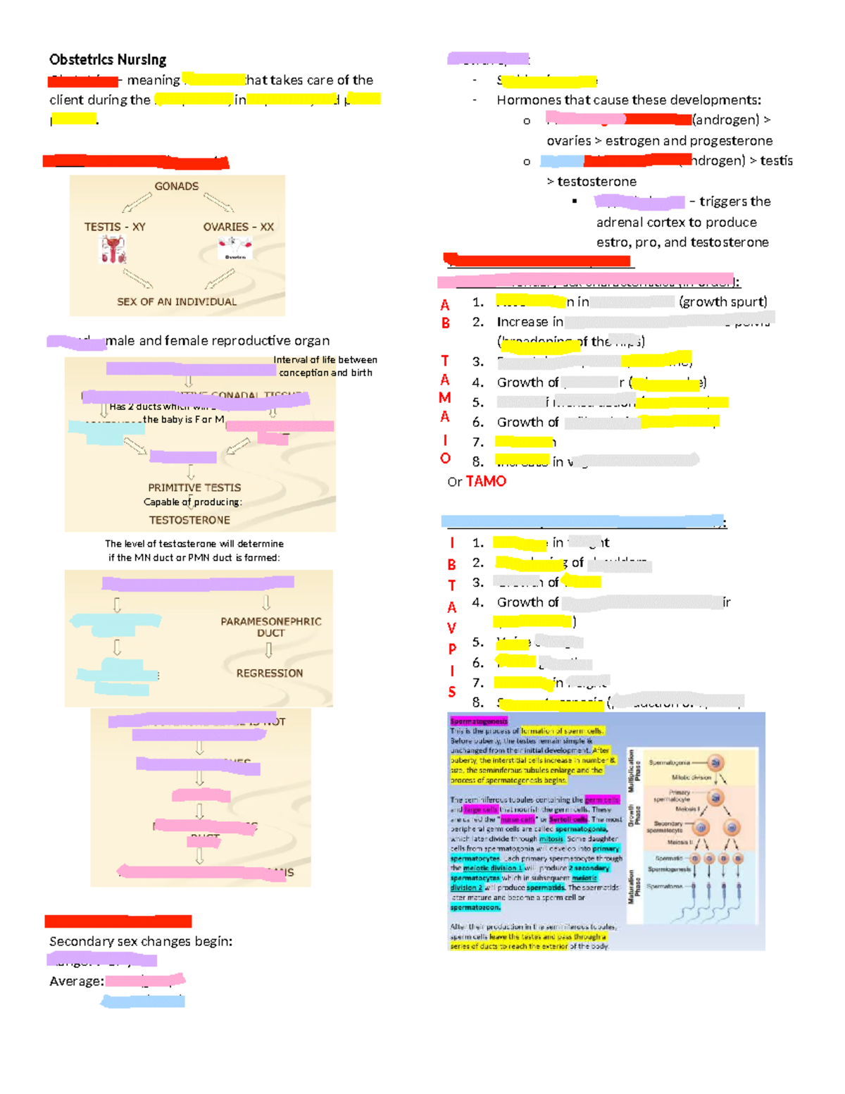Obstetrics Nursing: Week 1 CHN Notes on Reproductive Development - Studocu