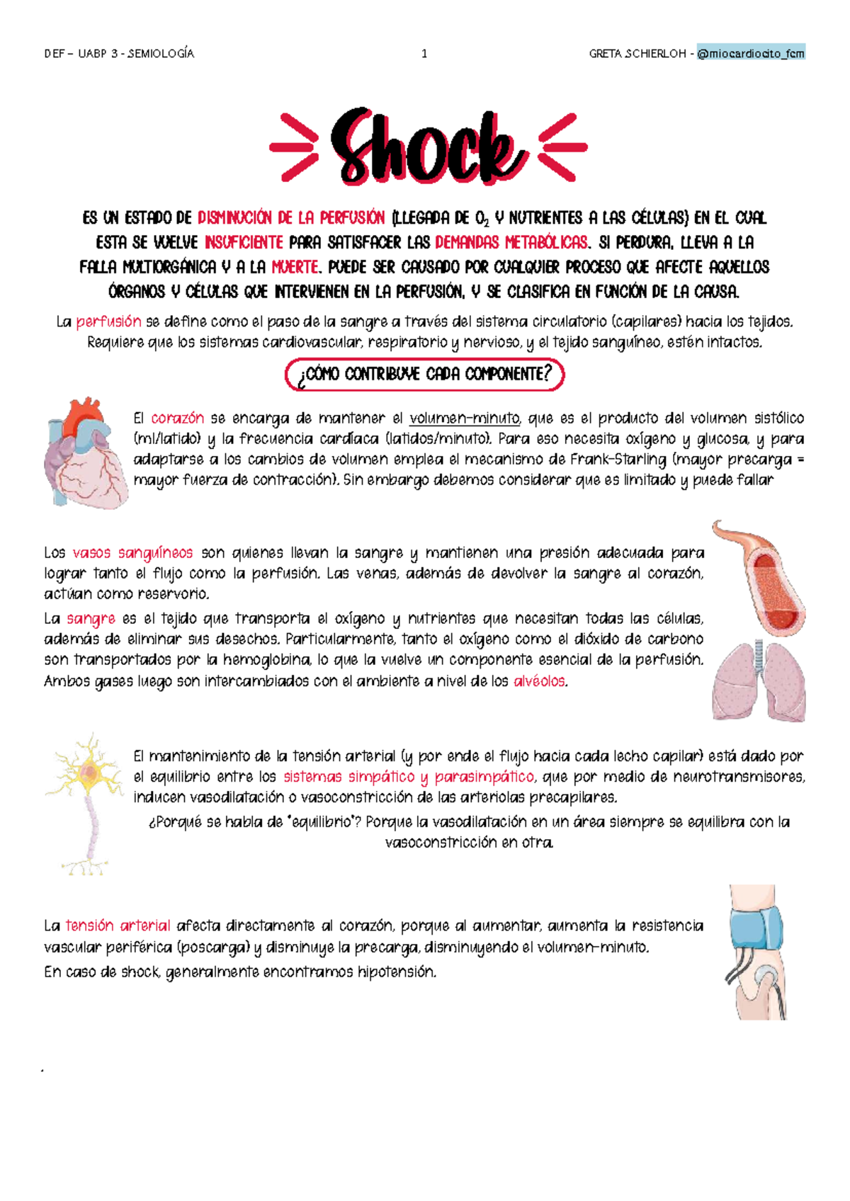 DEF UABP 3 SEMIOLOGÍA 1: Análisis del Shock y sus Etapas - Studocu