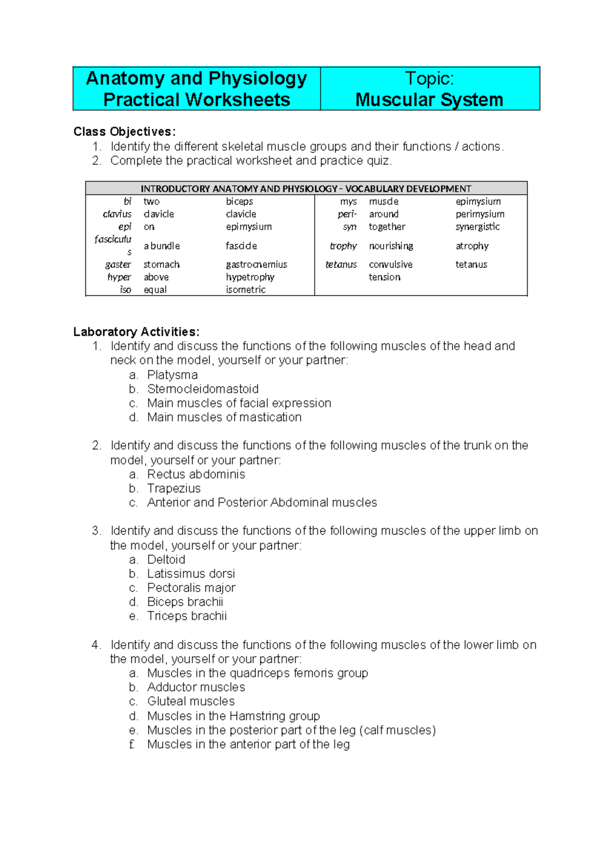 Muscular System 2019 - Anatomy and Physiology Practical Worksheets ...